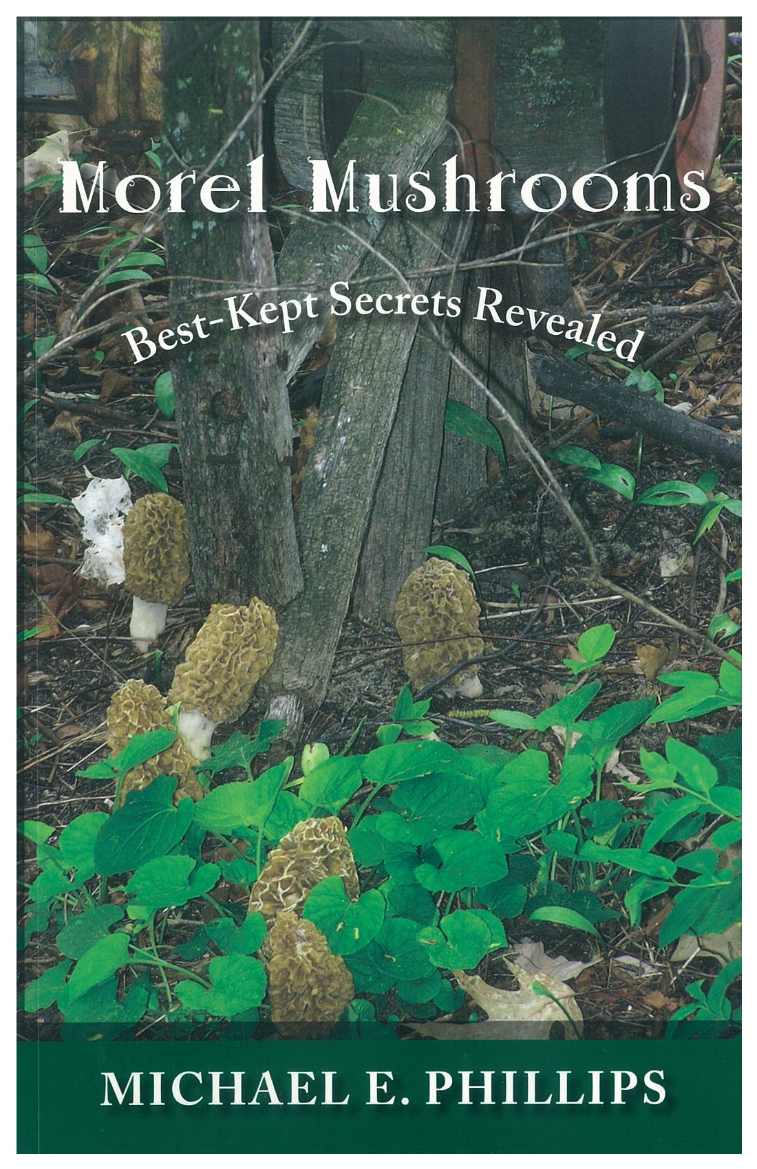 Thunder Bay Press Marketing Materials & Cover Copy – Amelia Shugar